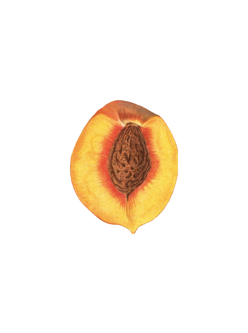 Peachy Mean Goods – peachymean